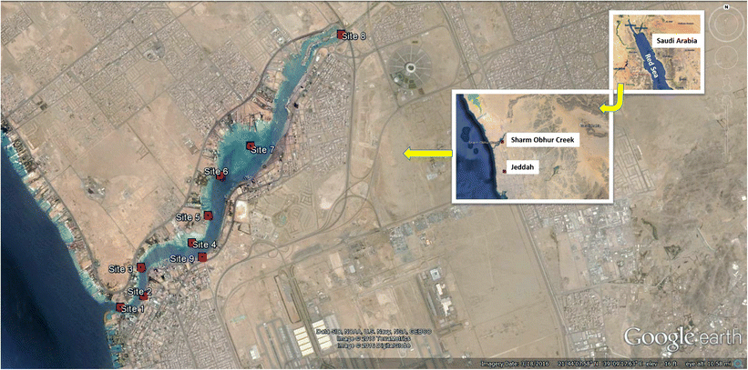 Current biodiversity and ecological status of scleractinian corals of ...