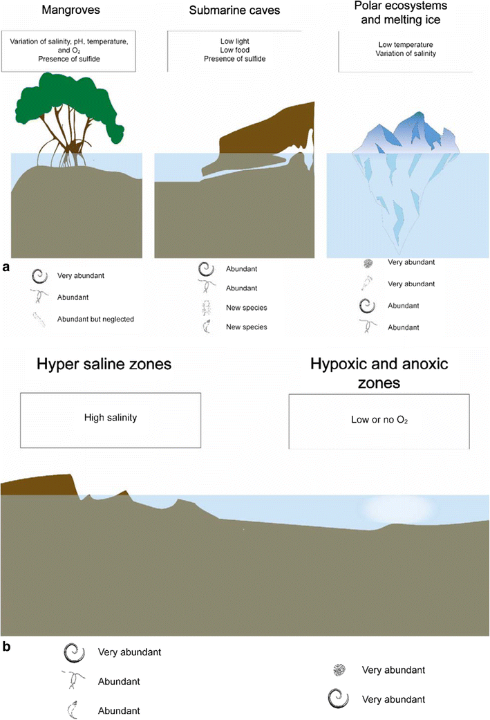 Characteristics of meiofauna in extreme marine ecosystems: a review ...