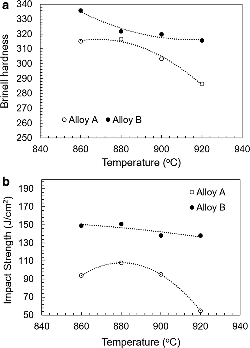 Role of Austenitization Temperature on Structure Homogeneity and ...