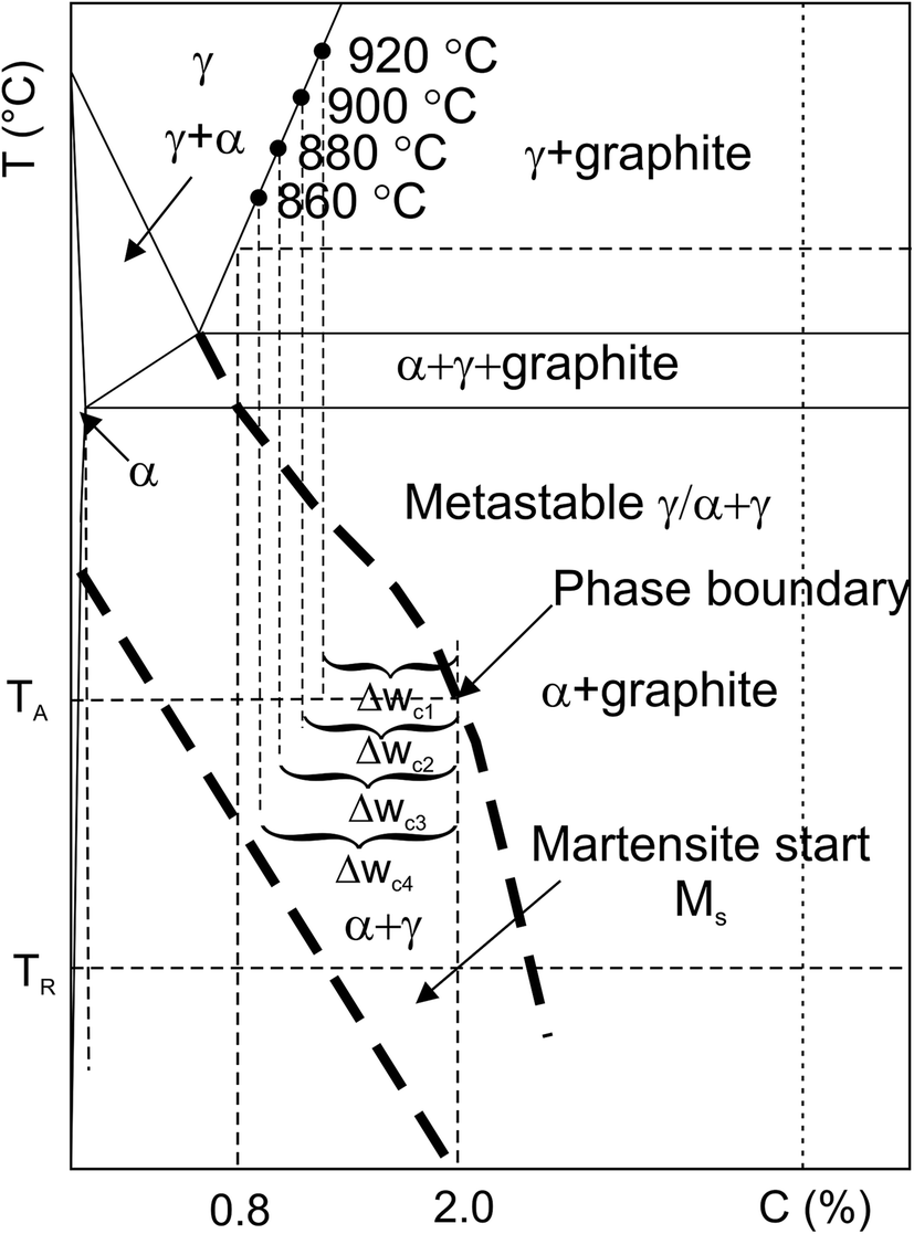 Role of Austenitization Temperature on Structure Homogeneity and ...