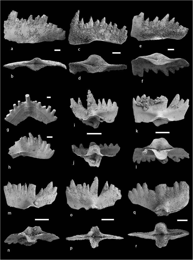 Emsian (Lower Devonian) conodonts from the Lufengshan section (Guangxi ...