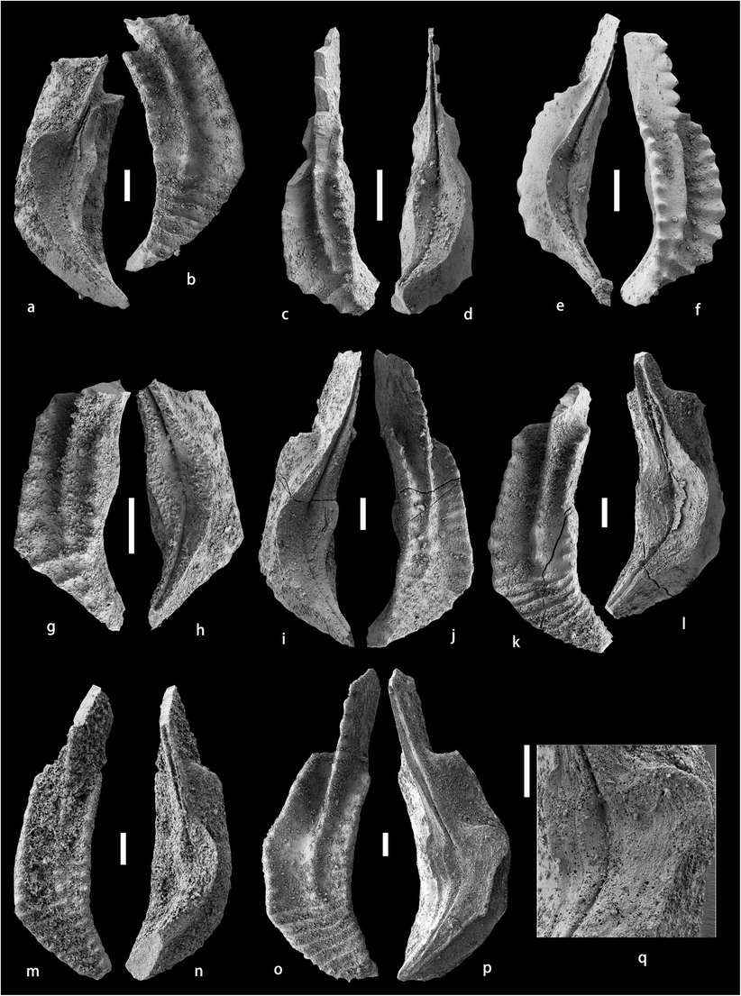 Emsian (Lower Devonian) conodonts from the Lufengshan section (Guangxi ...