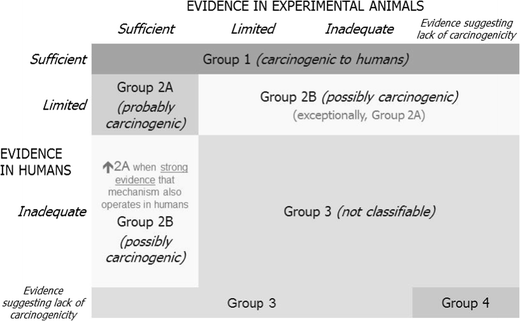 Mycotoxins as human carcinogens—the IARC Monographs classification ...