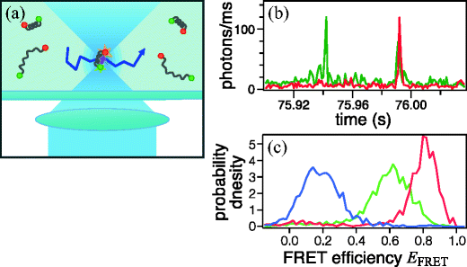 Single-molecule fluorescence-based analysis of protein conformation ...