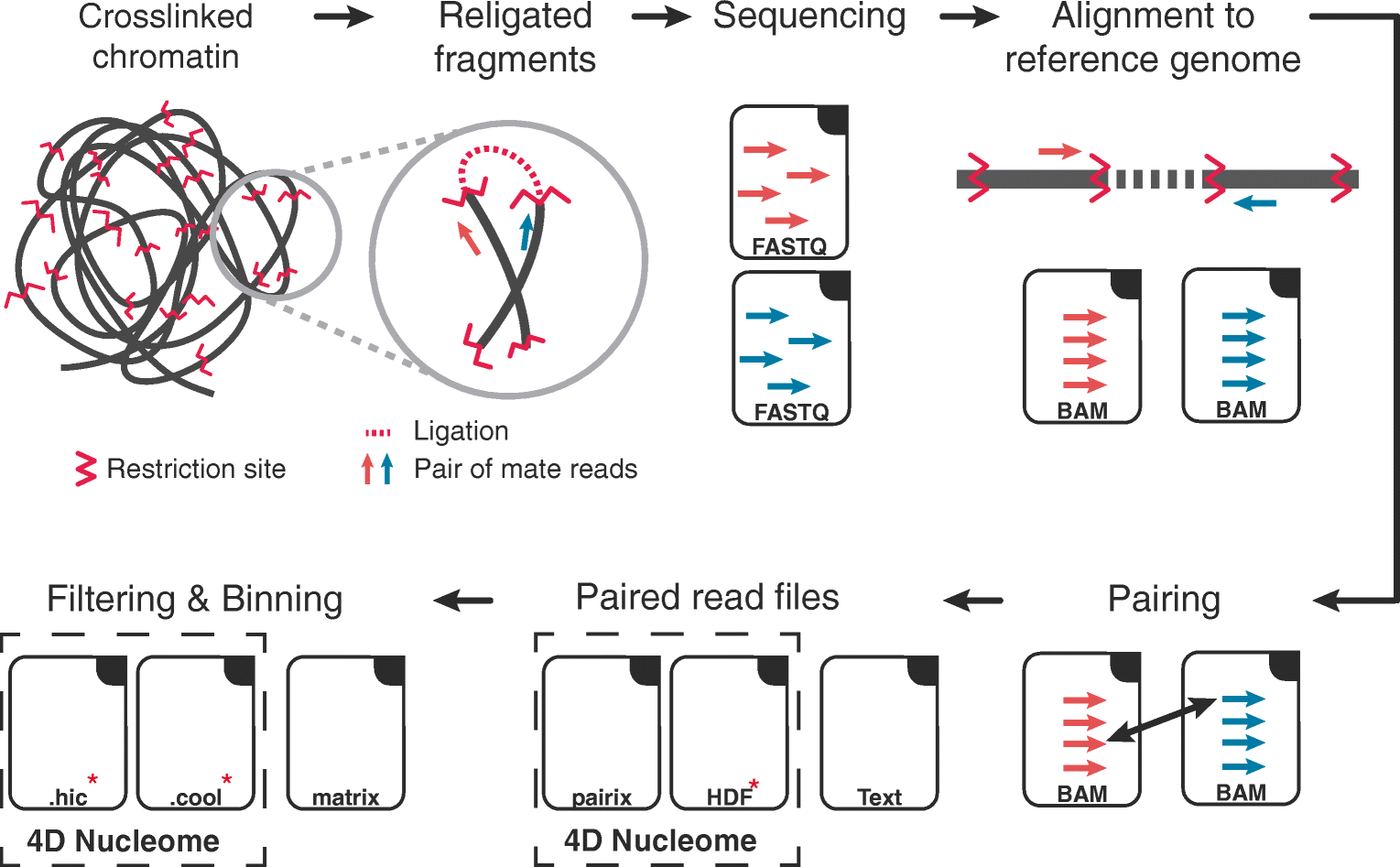 Hi-C analysis: from data generation to integration | SpringerLink