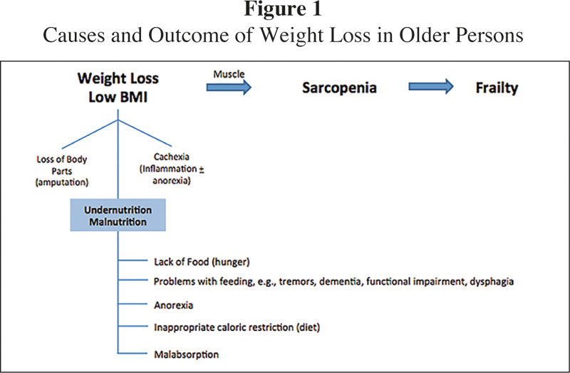 Defining Undernutrition (Malnutrition) in Older Persons | SpringerLink