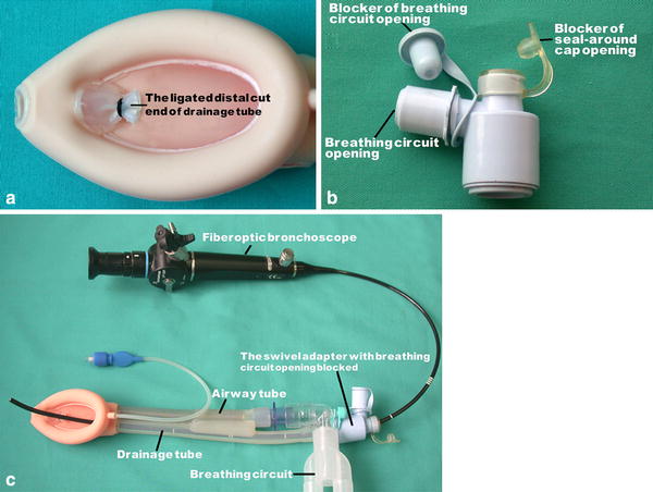 Use of a modified ProSeal™ laryngeal mask airway to facilitate ...