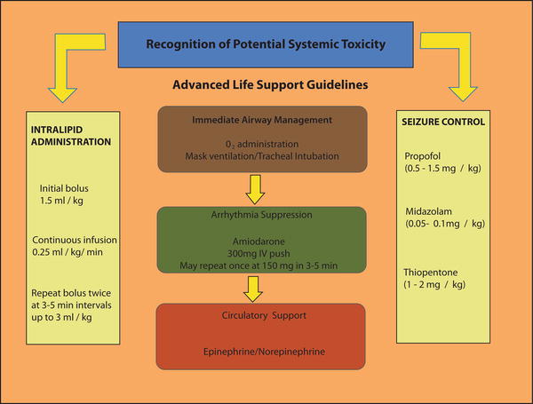 Local anesthetic systemic toxicity | SpringerLink