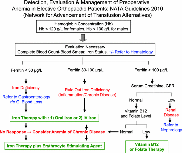 Assessment and treatment of preoperative anemia: Continuing ...