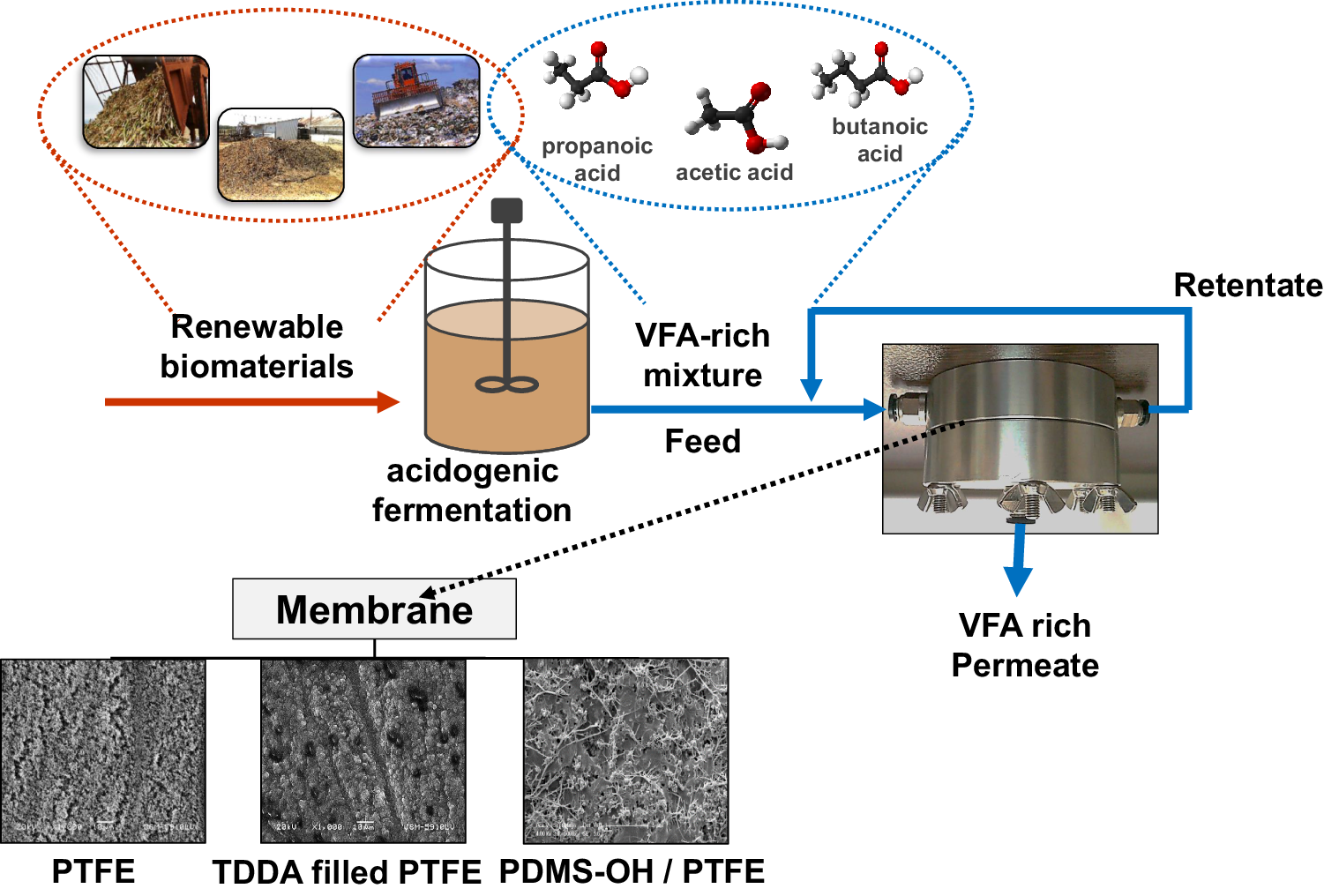 Pervaporative Separation of Mixed Volatile Fatty Acids: A Study Towards ...