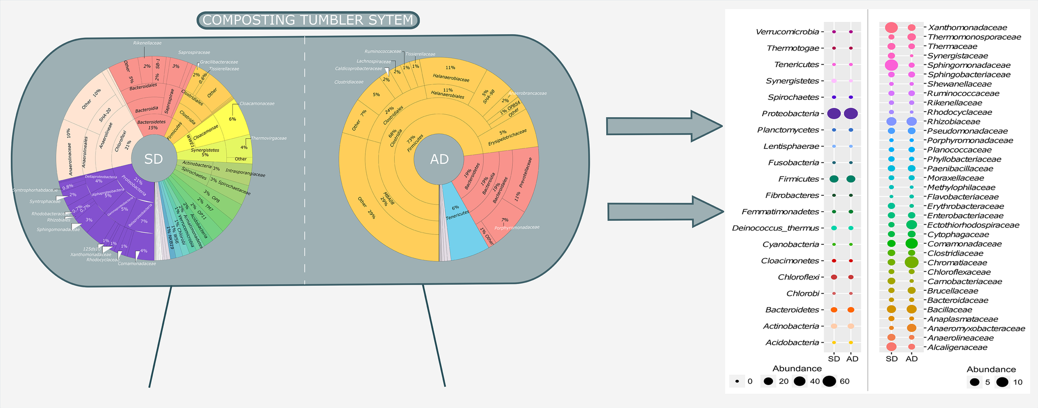 Bacterial Succession in the Thermophilic Phase of Composting of ...
