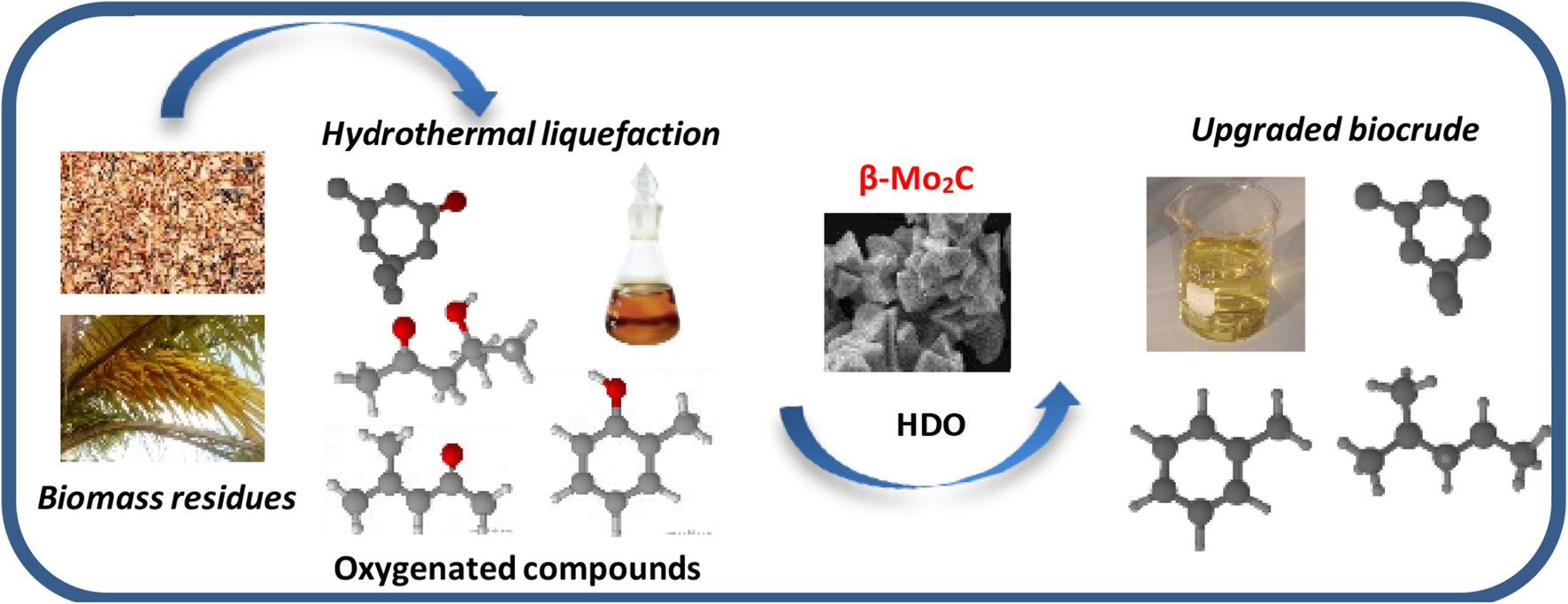 Catalytic Upgrading of Residual Biomass Derived Bio-oil over Molybdenum ...