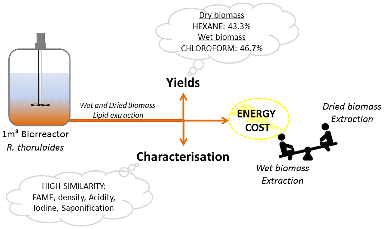 New Method for the Extraction of Single-Cell Oils from Wet Oleaginous ...