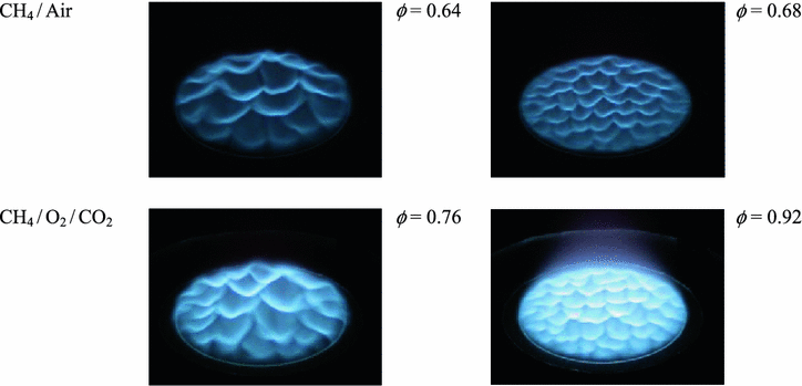Shape and fluctuation of cellular premixed flames: lean combustion ...