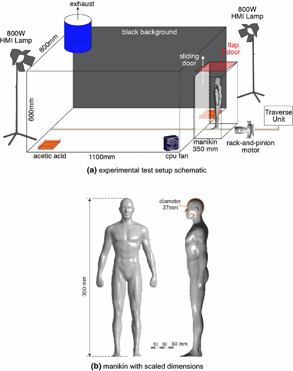 A smoke visualisation technique for wake flow from a moving human ...