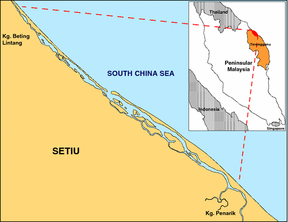 Grain-size distribution and subsurface mapping at the Setiu wetlands ...