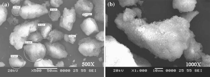 Determination of Silica Activity Index and XRD, SEM and EDS Studies of ...