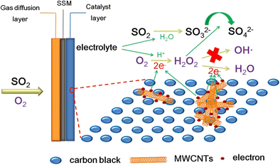 Performance and Mechanism of In Situ Electro-Catalytic Flue Gas ...