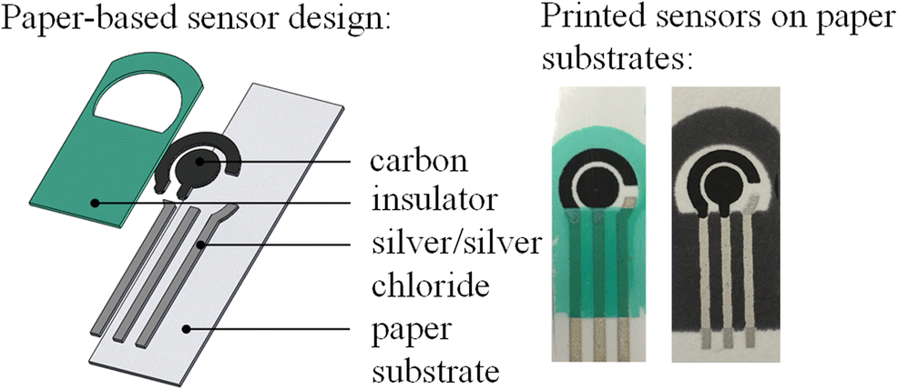 Printed Paper–Based Electrochemical Sensors for Low-Cost Point-of-Need ...