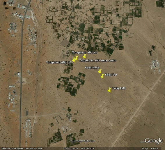 Archaeology of a falaj in al Madam Plain (Sharjah, UAE); a study from ...