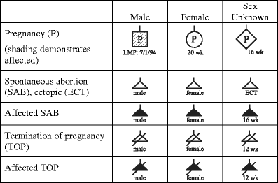 The family medical history as a tool in preconception consultation ...