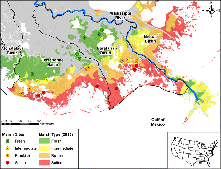 Relationships Between Salinity and Short-Term Soil Carbon Accumulation ...