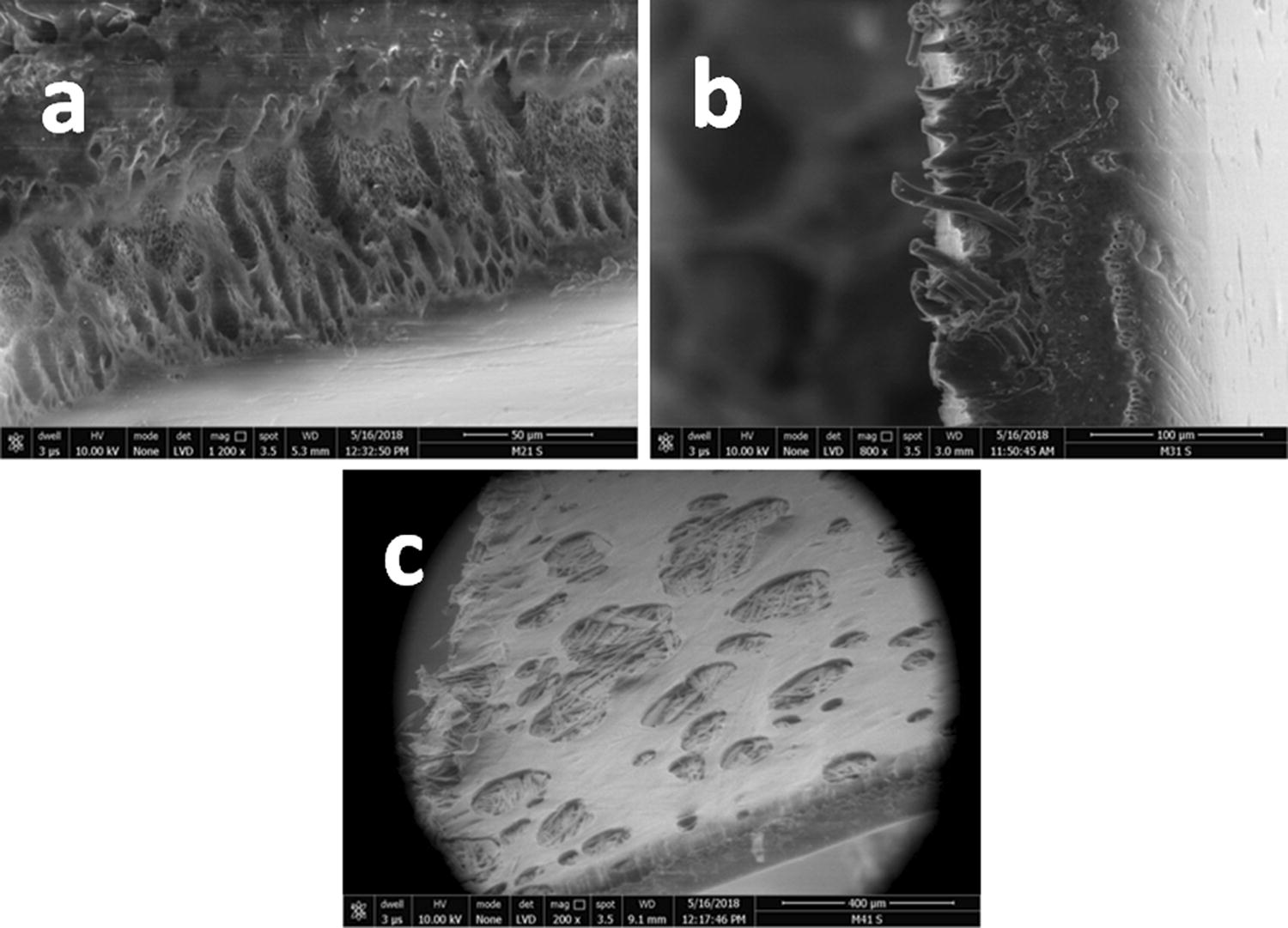 Understanding the morphology of MWCNT/PES mixed-matrix membranes using ...