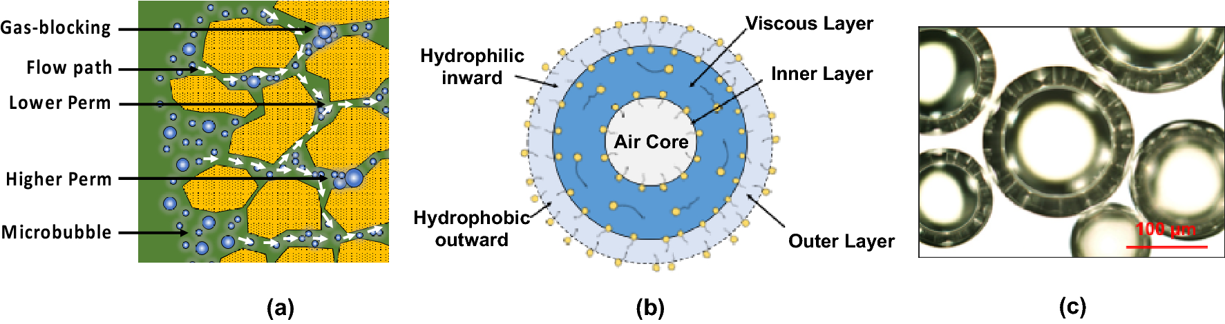 CO2 microbubble colloidal gas aphrons for EOR application: the ...
