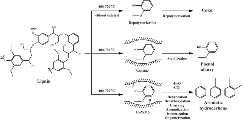 Heterogeneously catalyzed lignin depolymerization | SpringerLink