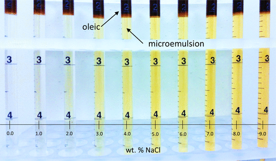 Effect of microemulsion on foam stability | SpringerLink