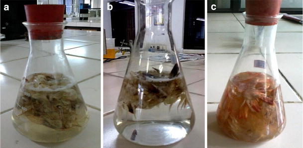 Studies on heavy metal removal efficiency and antibacterial activity of ...