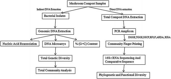 Modern molecular approaches for analyzing microbial diversity from ...
