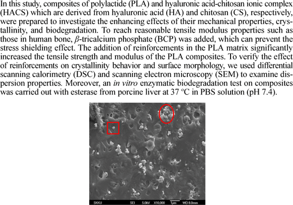 Development of reinforced polylactide composite resin for micro surgery ...