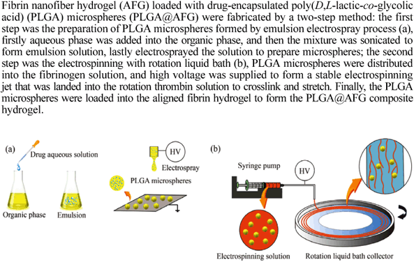 Fabrication and characterization of aligned fibrin nanofiber hydrogel ...