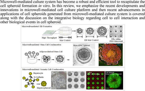 Microwell-mediated cell spheroid formation and its applications ...