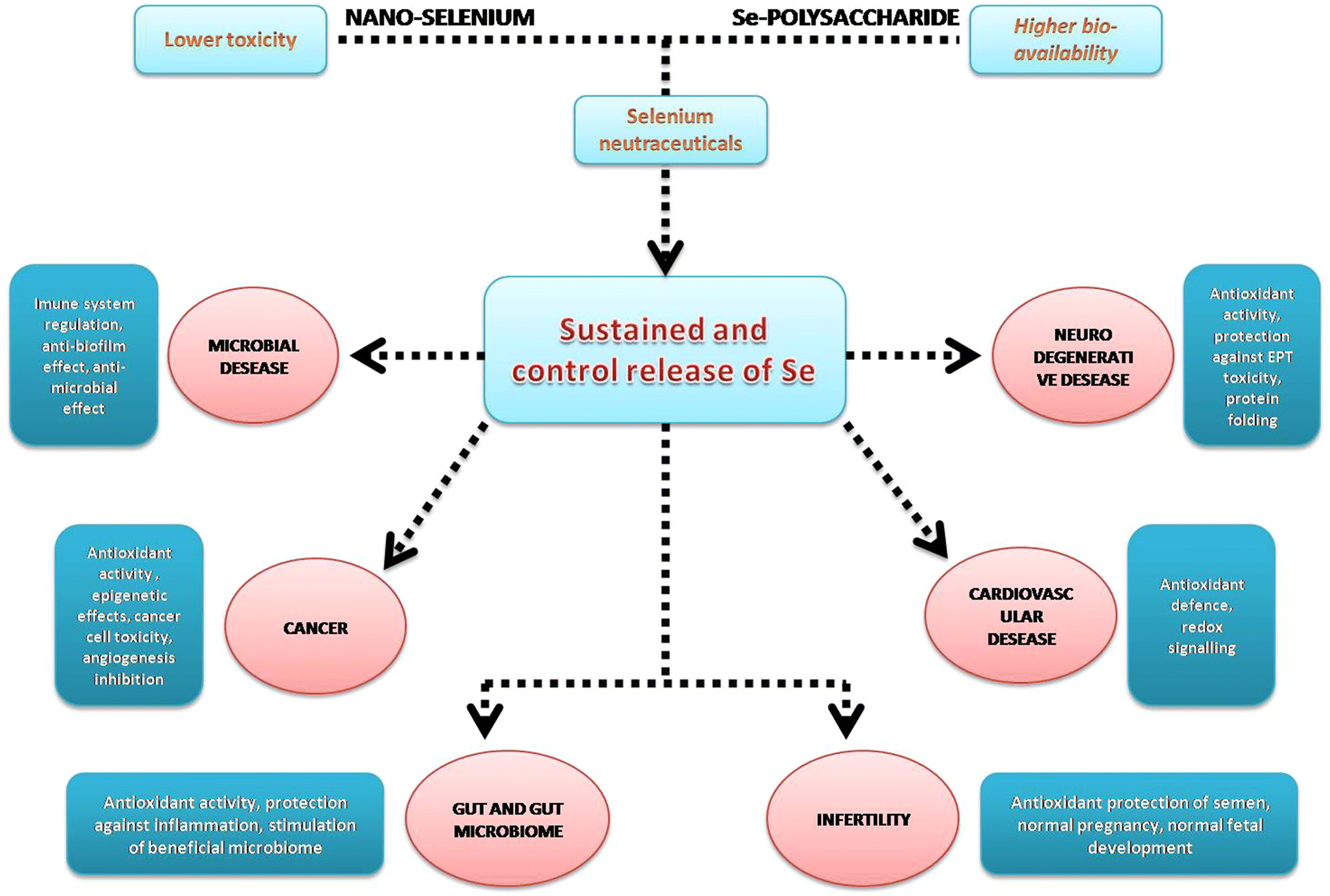 Use of selenium as micronutrients and for future anticancer drug: a ...