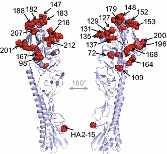 H9N2 influenza virus in China: a cause of concern | SpringerLink