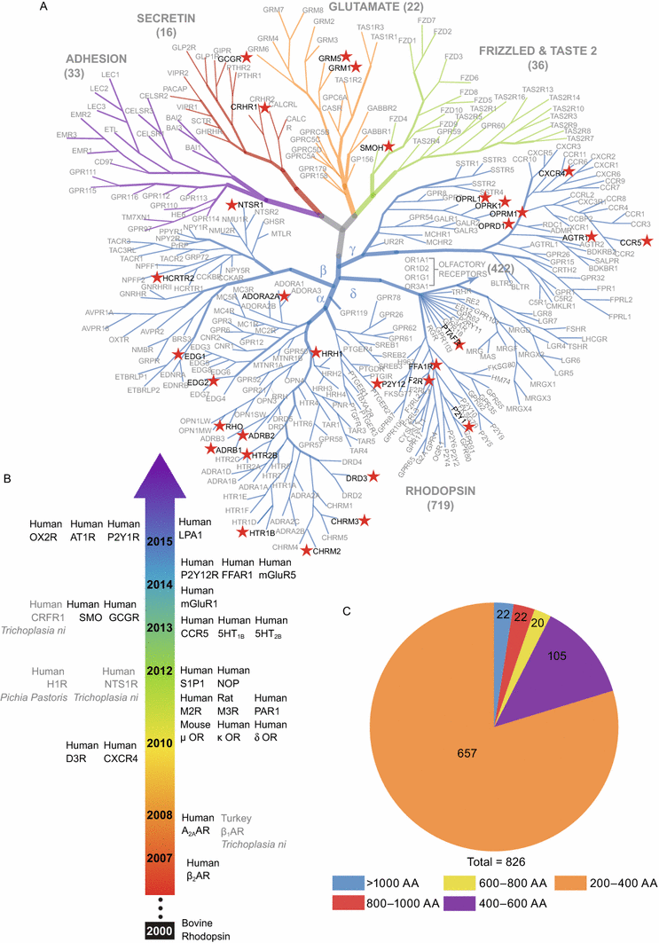 In vitro expression and analysis of the 826 human G protein-coupled ...