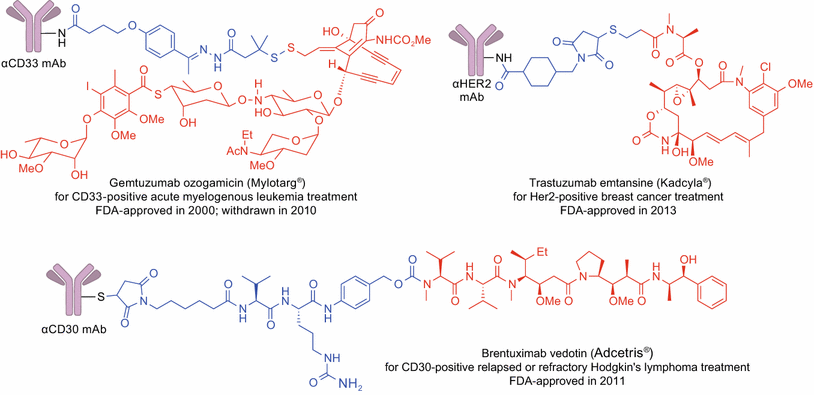 Antibody-drug conjugates: recent advances in conjugation and linker ...
