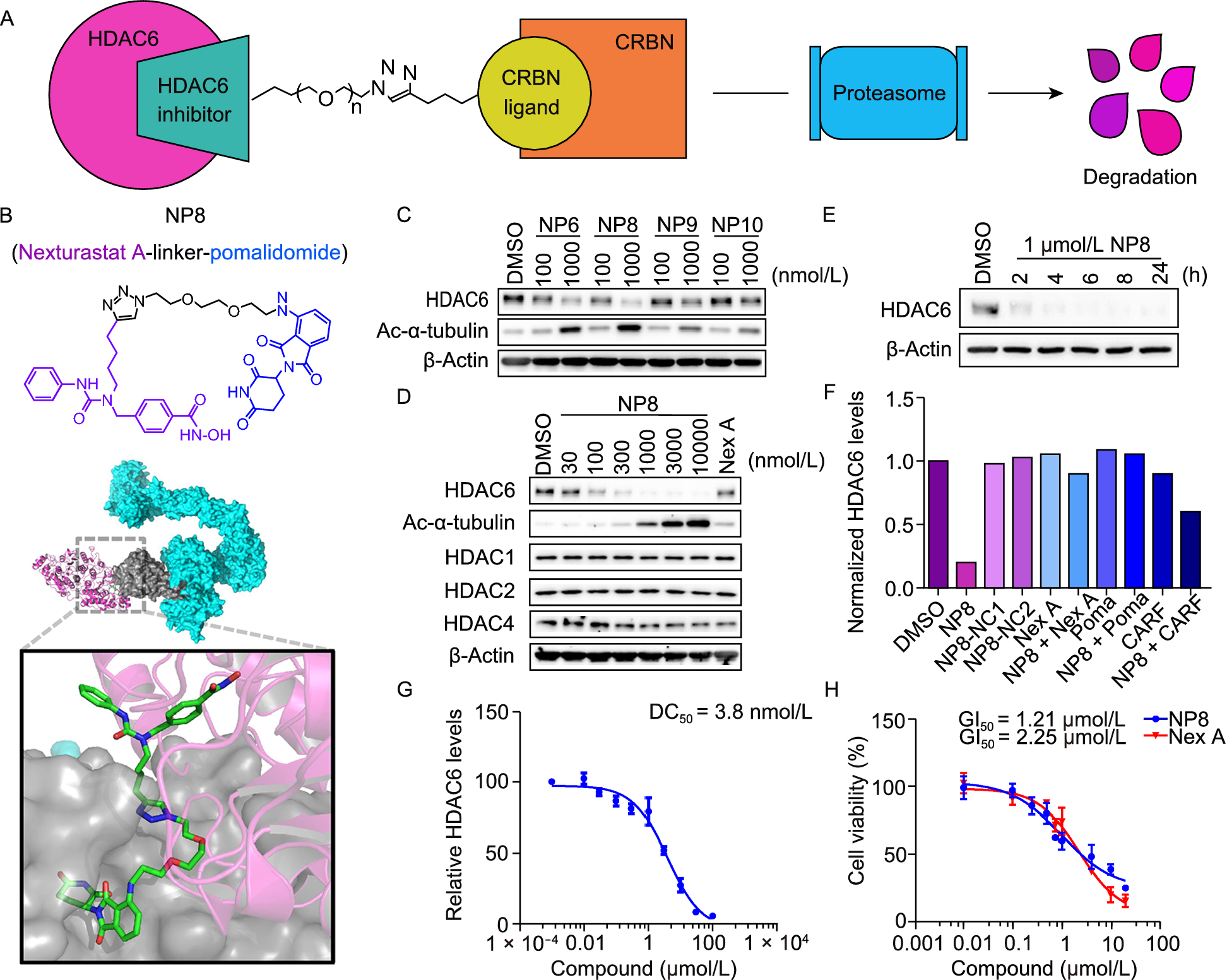 Developing potent PROTACs tools for selective degradation of HDAC6 ...