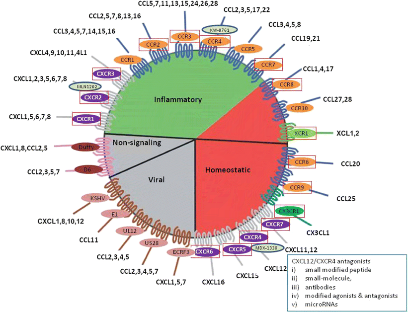 Oncogenic roles and drug target of CXCR4/CXCL12 axis in lung cancer and ...
