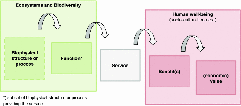 From Multifunctionality to Multiple Ecosystem Services? A Conceptual ...