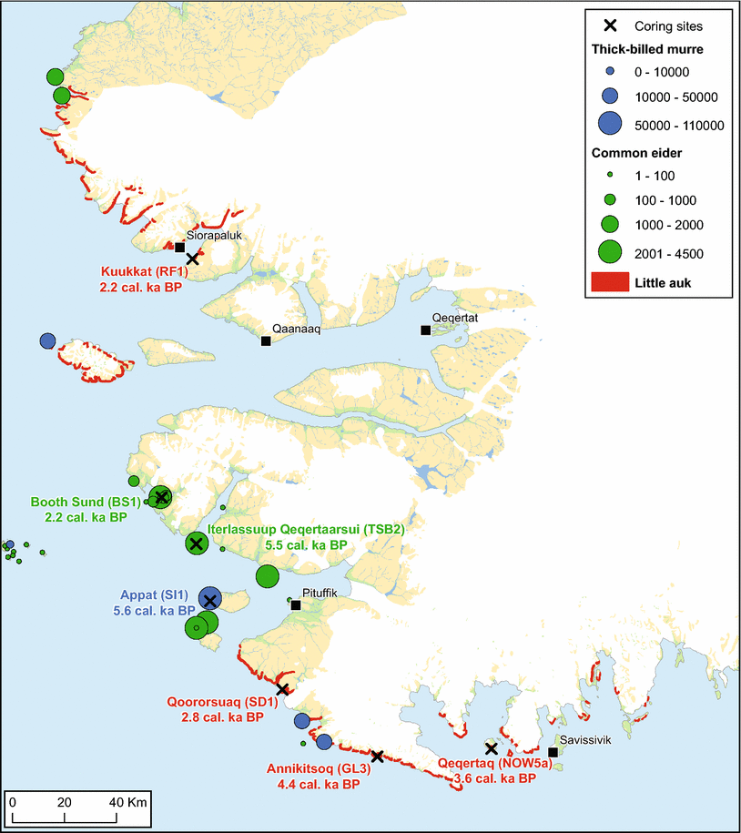 The history of seabird colonies and the North Water ecosystem ...