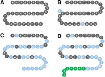 The Clinical Development Program of Lixisenatide: A Once-Daily Glucagon ...