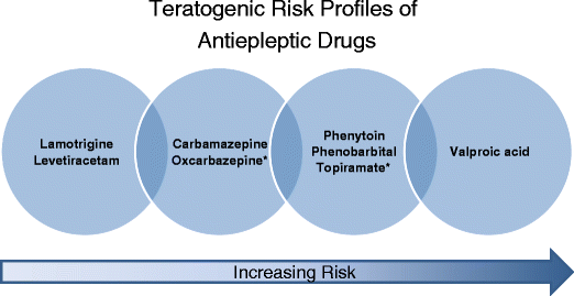 Use of Antiepileptic Drugs During Pregnancy: Evolving Concepts ...