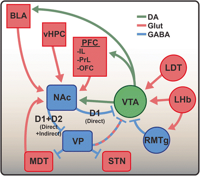 Reward Circuitry in Addiction | SpringerLink