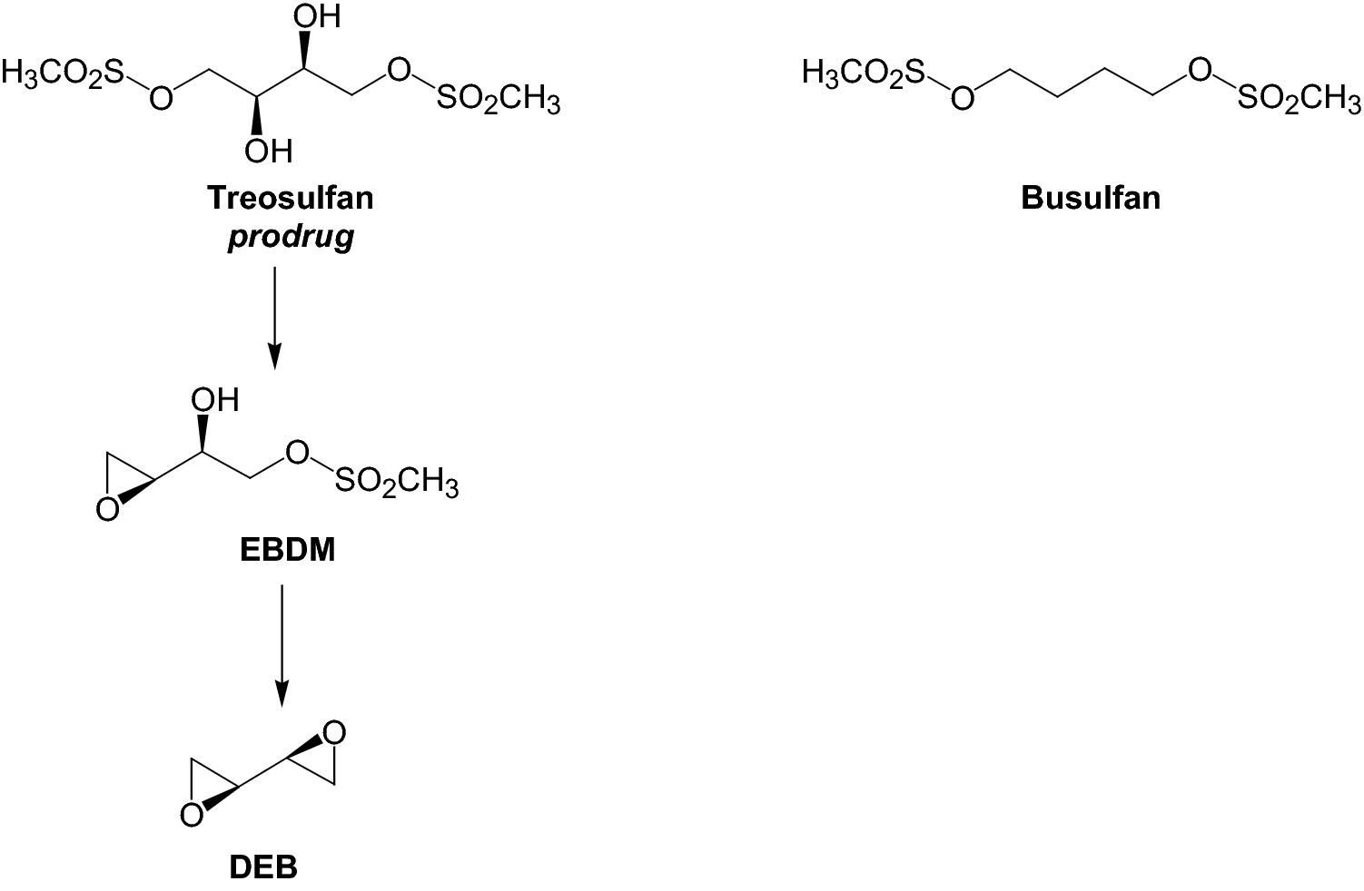 In Vitro Study of the Enzymatic and Nonenzymatic Conjugation of ...