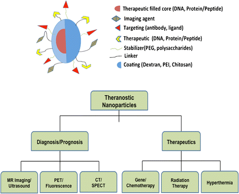 Dual-function theranostic nanoparticles for drug delivery and medical ...