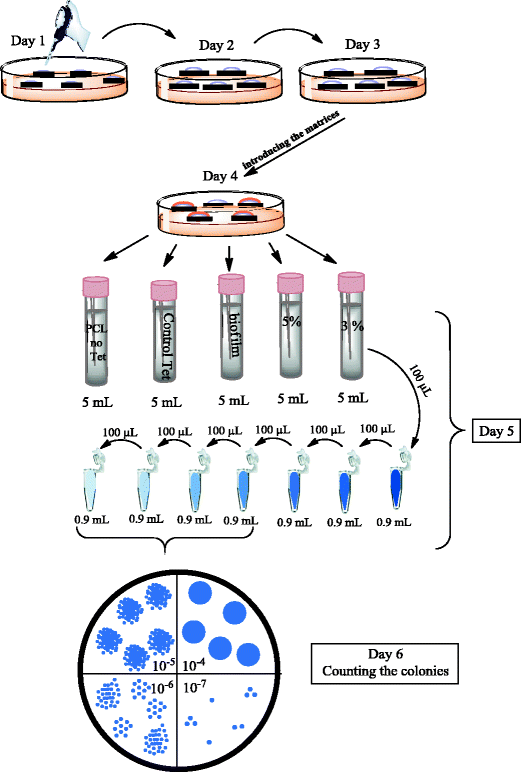 Killing bacteria within biofilms by sustained release of tetracycline ...
