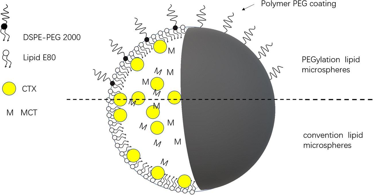 PEGylated lipid microspheres loaded with cabazitaxel for intravenous ...